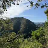 Murphy Ranch Trail, California - 3,952 Reviews, Map | AllTrails