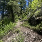 Sypes Canyon, Montana - 1,562 Reviews, Map | AllTrails