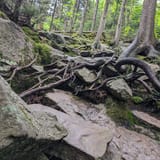 Slide Mountain Trail, New York - 1,719 Reviews, Map | AllTrails