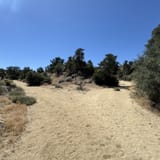 Panorama Loop, California - 3,077 Reviews, Map | AllTrails