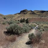Blue Basin Overlook Loop, Oregon - 420 Reviews, Map | AllTrails