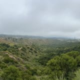 Whiting Ranch Trail, California - 1,841 Reviews, Map | AllTrails