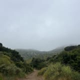 Whiting Ranch Trail, California - 1,841 Reviews, Map | AllTrails
