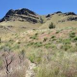 Blue Basin Overlook Loop, Oregon - 459 Reviews, Map | AllTrails
