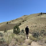 Blue Basin Overlook Loop, Oregon - 459 Reviews, Map | AllTrails
