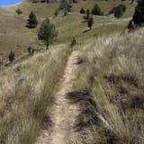 Blue Basin Overlook Loop, Oregon - 459 Reviews, Map | AllTrails