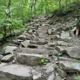 Thousand Steps, Pennsylvania - 1,286 Reviews, Map | AllTrails