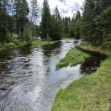 Geyser Hill Loop Trail and Observation Point, Montana - 643 Reviews ...