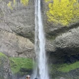 Latourell Falls Loop, Oregon - 6,706 Reviews, Map | AllTrails