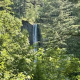 Latourell Falls Loop, Oregon - 6,706 Reviews, Map | AllTrails