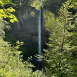 Latourell Falls Loop, Oregon - 6,706 Reviews, Map | AllTrails
