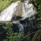 Alsea Falls and Green Peak Falls, Oregon - 1,147 Reviews, Map | AllTrails