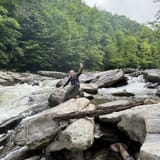 Laurel River Trail, North Carolina - 1,627 Reviews, Map | AllTrails