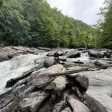 Laurel River Trail, North Carolina - 1,627 Reviews, Map | AllTrails