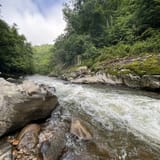 Laurel River Trail, North Carolina - 1,627 Reviews, Map | AllTrails