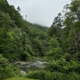 Laurel River Trail, North Carolina - 1,627 Reviews, Map | AllTrails