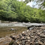Laurel River Trail, North Carolina - 1,627 Reviews, Map | AllTrails