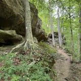 Hemlock Cliffs National Scenic Trail, Indiana - 1,366 Reviews, Map ...