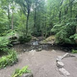 Wepre Park Circular, Flintshire, Wales - 466 Reviews, Map | AllTrails