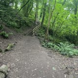 Wepre Park Circular, Flintshire, Wales - 466 Reviews, Map | AllTrails