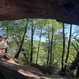 Princess Arch Trail, Kentucky - 1,393 Reviews, Map | AllTrails