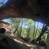 Princess Arch Trail, Kentucky - 1,397 Reviews, Map | AllTrails