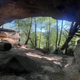 Princess Arch Trail, Kentucky - 1,397 Reviews, Map | AllTrails