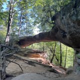 Princess Arch Trail, Kentucky - 1,397 Reviews, Map | AllTrails