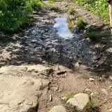 Johnson River Falls Trail, Nova Scotia, Canada - 841 Reviews, Map ...