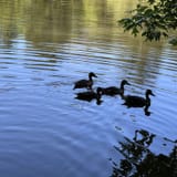 Trail of the Muscogee, Georgia - 556 Reviews, Map | AllTrails