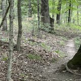 Saunders Springs Nature Preserve Loop, Kentucky - 400 Reviews, Map ...