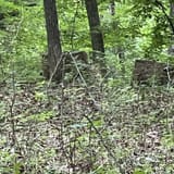 Saunders Springs Nature Preserve Loop, Kentucky - 400 Reviews, Map ...