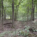 Saunders Springs Nature Preserve Loop, Kentucky - 400 Reviews, Map ...