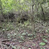 Saunders Springs Nature Preserve Loop, Kentucky - 347 Reviews, Map ...