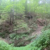 Low Gap Trail , Indiana - 1,445 Reviews, Map | AllTrails