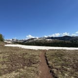 Engineer Mountain Trail, Colorado - 346 Reviews, Map | AllTrails