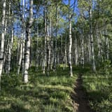Engineer Mountain Trail, Colorado - 346 Reviews, Map | AllTrails