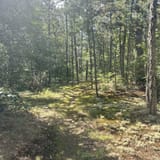 North Sylamore Creek Trail, Arkansas - 272 Reviews, Map | AllTrails