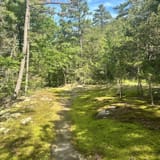 North Sylamore Creek Trail, Arkansas - 272 Reviews, Map | AllTrails