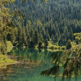 Gold Creek Pond Loop, Washington - 2,629 Reviews, Map | AllTrails