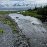 Tonsina Creek Trail, Alaska - 1,516 Reviews, Map | AllTrails