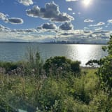Deer Island Trail, Massachusetts - 648 Reviews, Map | AllTrails