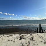 Deer Island Trail, Massachusetts - 648 Reviews, Map | AllTrails