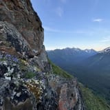 Bird Ridge Trail, Alaska - 1,149 Reviews, Map | AllTrails