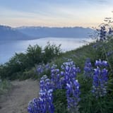 Bird Ridge Trail, Alaska - 1,149 Reviews, Map | AllTrails