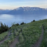Bird Ridge Trail, Alaska - 1,149 Reviews, Map | AllTrails