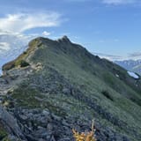 Bird Ridge Trail, Alaska - 1,149 Reviews, Map | AllTrails