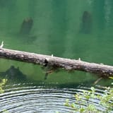 Spider Lake Trail, Washington - 240 Reviews, Map | AllTrails