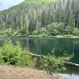 Spider Lake Trail, Washington - 240 Reviews, Map | AllTrails