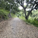 Discovery Trail, California - 2,286 Reviews, Map | AllTrails